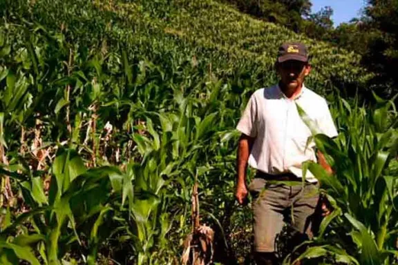 Continúa la inscripción para emisión de certificado de productor ...