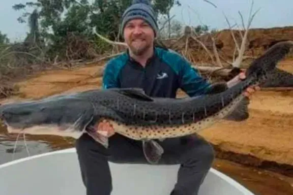 Misionero pescó un surubí de 40 kilogramos | Diario Noticias De La ...