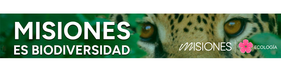 Qué significa tener “+1.000 de aura”: el elogio tendencia dentro de las ...