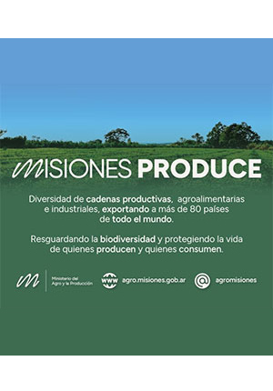 Fueron liberados siete pecaríes de collar en una reserva de Misiones para fortalecer la fauna ...