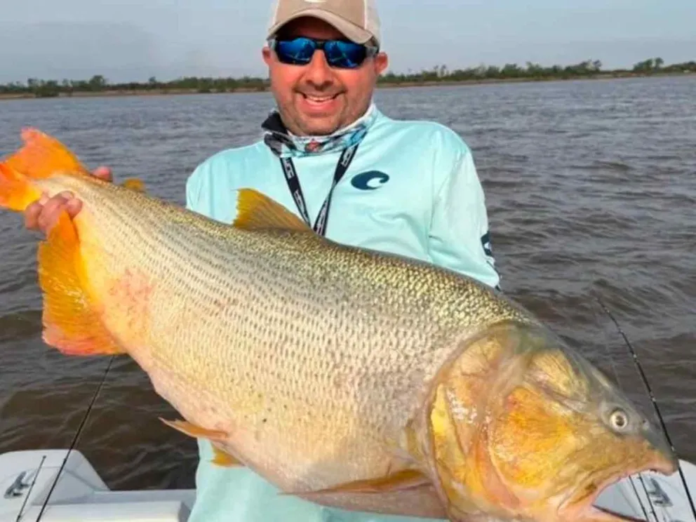 Capturaron un dorado de 30 kilos en el Paraná | Diario Noticias De La ...