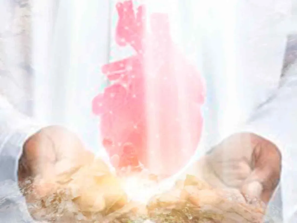 Un latido más fuerte: cómo extender la vida de nuestro corazón | Diario ...