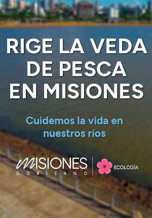 El Servicio de Urología del Madariaga incrementó un 20% las cirugías y ...