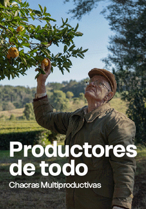 MotoGP: Valentino Rossi presentó sus motos y pilotos para 2026 | Diario ...